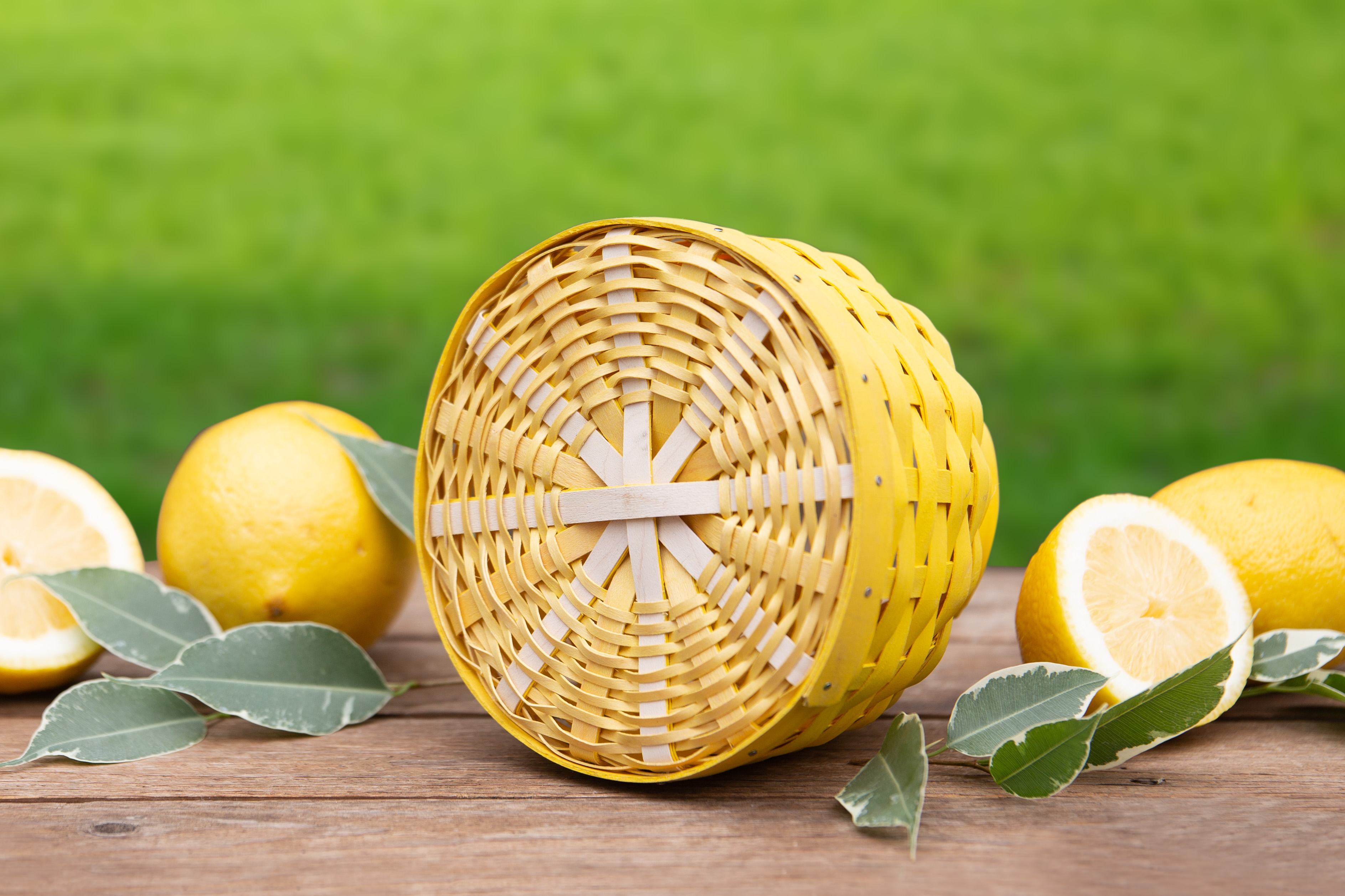 Dresden & Company Woven Lemon-Aid Basket | Alex's Lemonade Stand ...