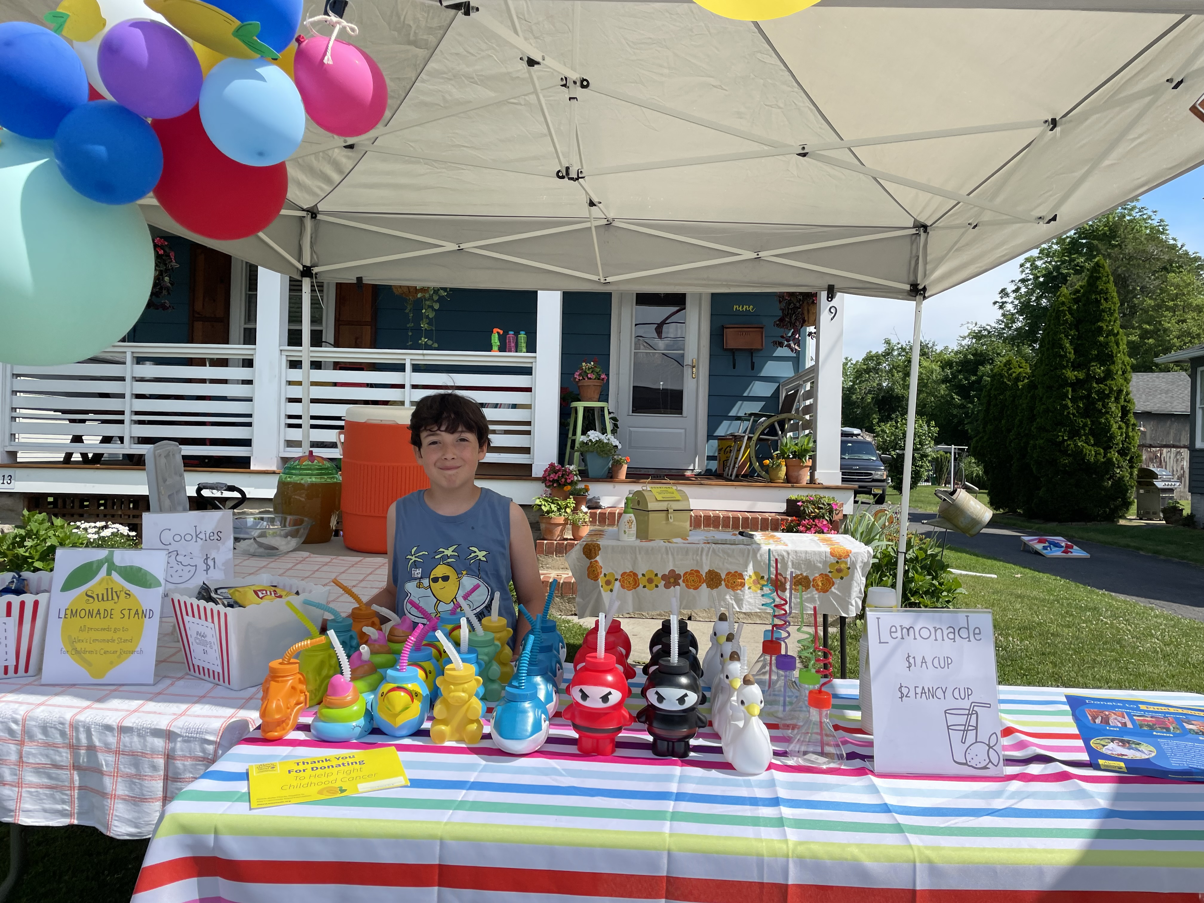 Sully’s lemonade stand | Alex's Lemonade Stand Foundation for Childhood ...