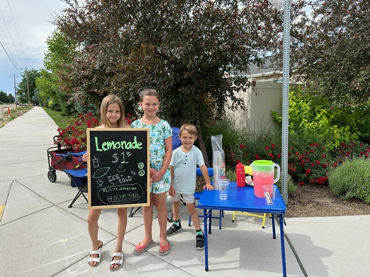 Ruby and Annabelle's Childhood Cancer Fundraiser | Alex's Lemonade ...