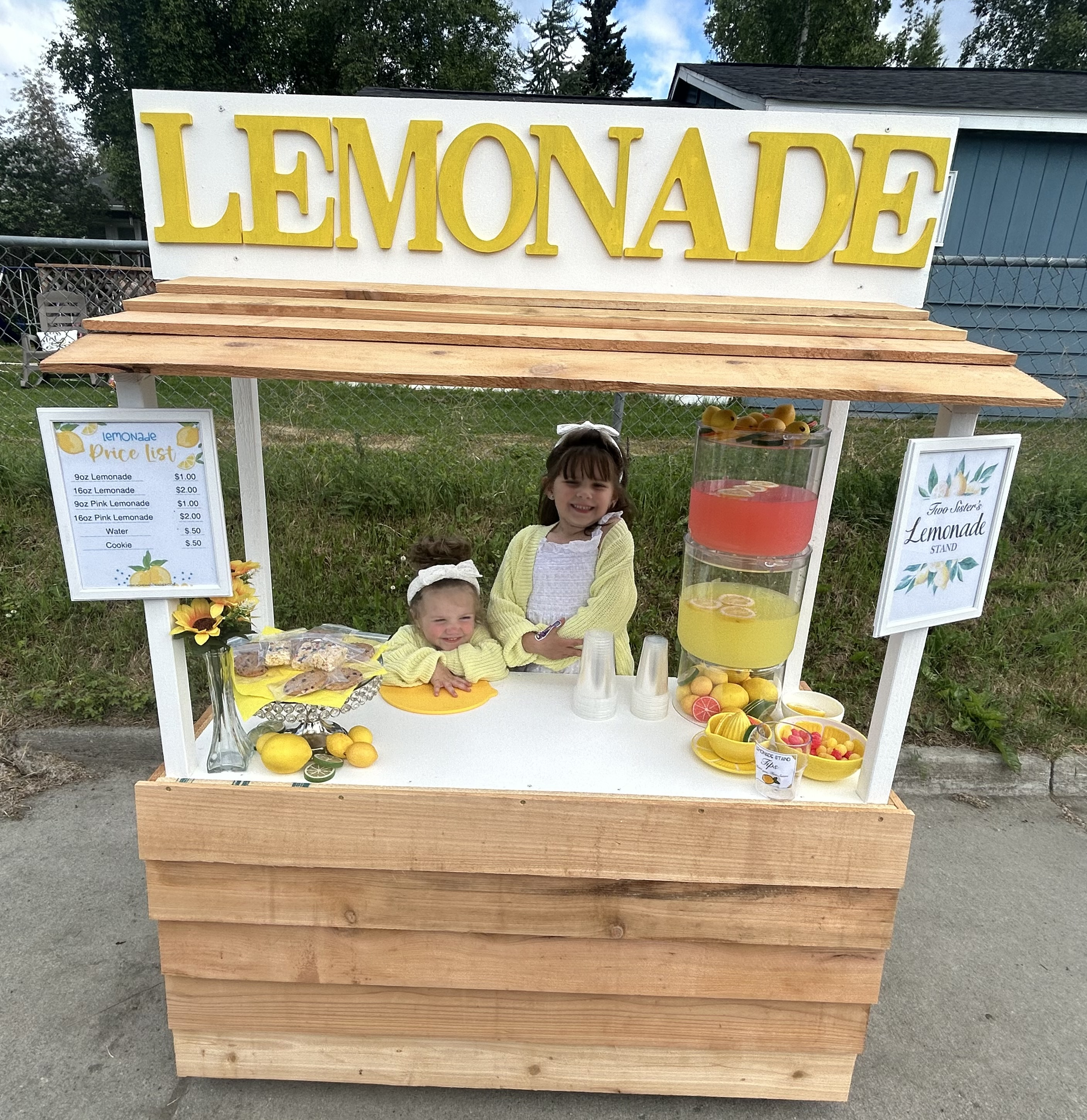 Two Sisters Lemonade | Alex's Lemonade Stand Foundation for Childhood ...