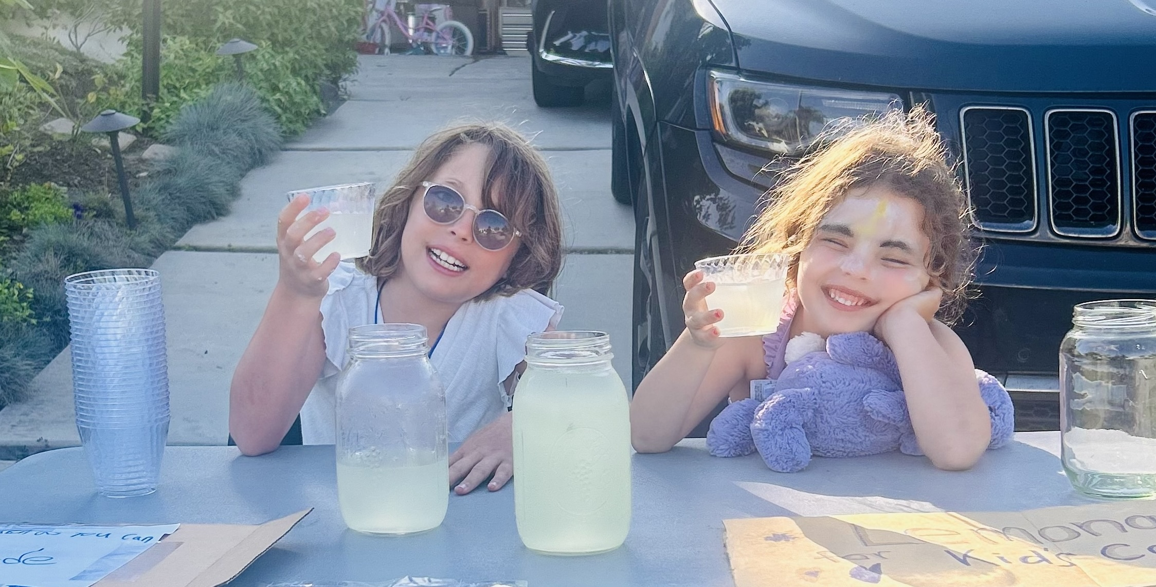 Logan and McKenna's Lemonade Stand | Alex's Lemonade Stand Foundation ...