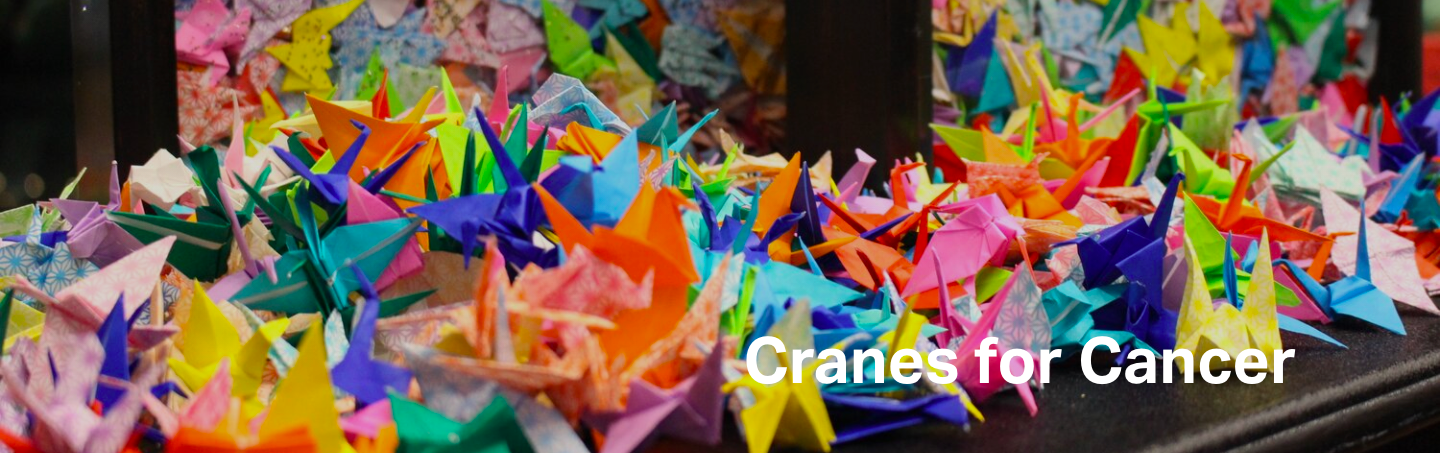 BFPC's Cranes for Cancer 2021 | Alex's Lemonade Stand Foundation for ...