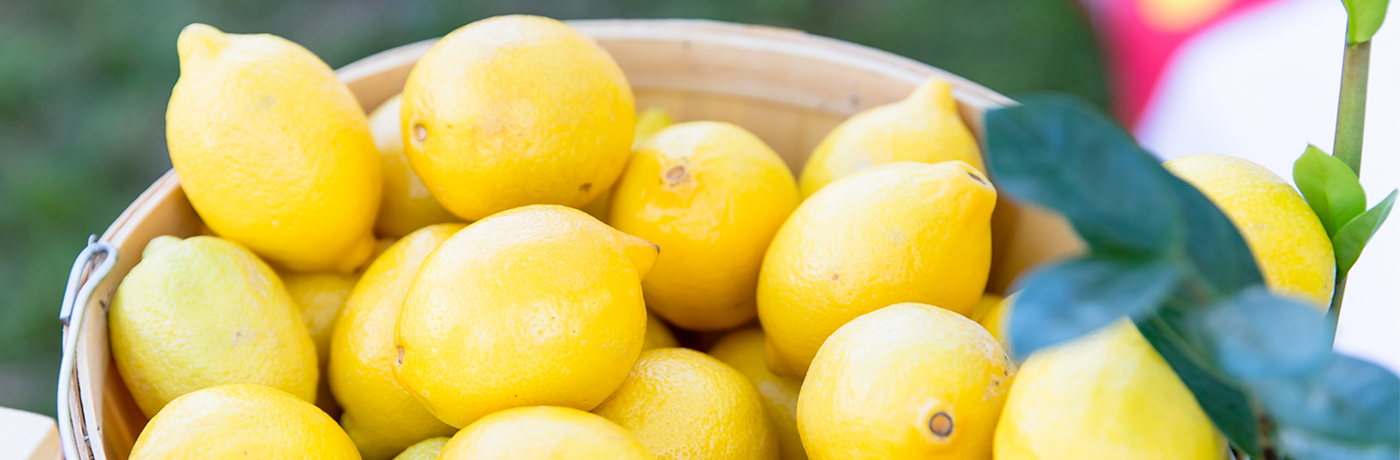 Gus + Henny Make Lemonade! | Alex's Lemonade Stand Foundation for ...