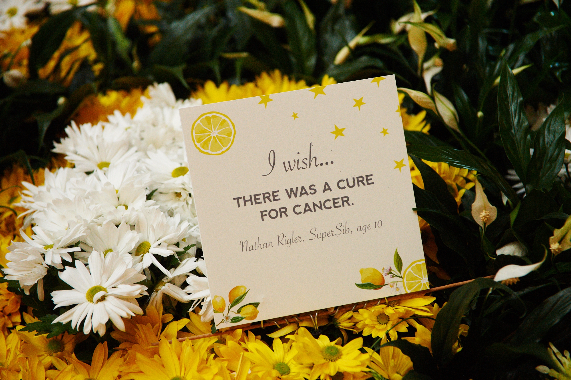 The Lemon Ball | Alex's Lemonade Stand Foundation for Childhood Cancer